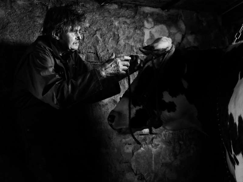 Zin in Oosterland, Michaëlskerk | za 29 07 2023 t/m ma 04 09 2023 ...